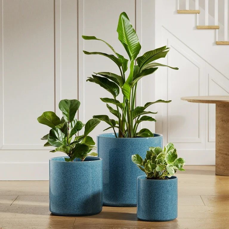 Vases & Planters – Dayyah Home Decor